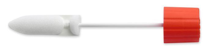 Guide to Environmental Swabbing for Listeria