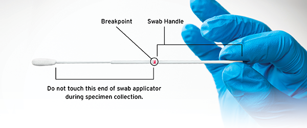A Complete Guide to Liquid Amies | Puritan Medical Products