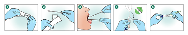 A Complete Guide to Liquid Amies | Puritan Medical Products
