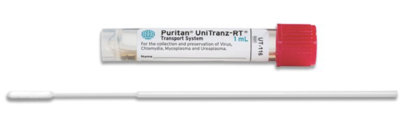 How to Swab for RSV: The Complete Swab Test Guide