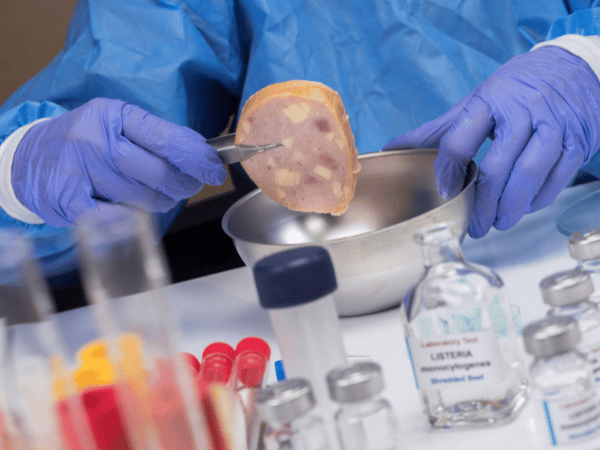 The Complete Guide to Listeria Swab Testing